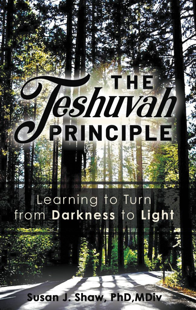 The Teshuvah Principle: Learning To Turn From Darkness To Light ...