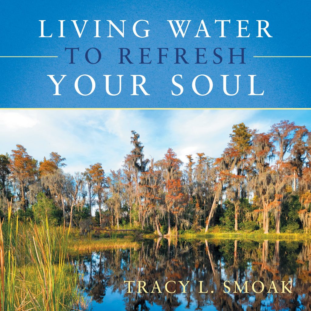 Living Water To Refresh Your Soul | Redemption Press